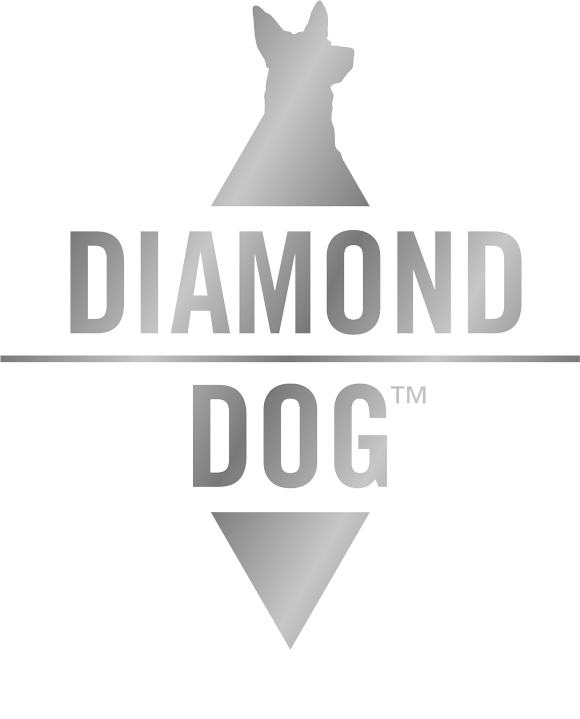 CES 2020: Diamond Dog Screen Protector - Podfeet Podcasts