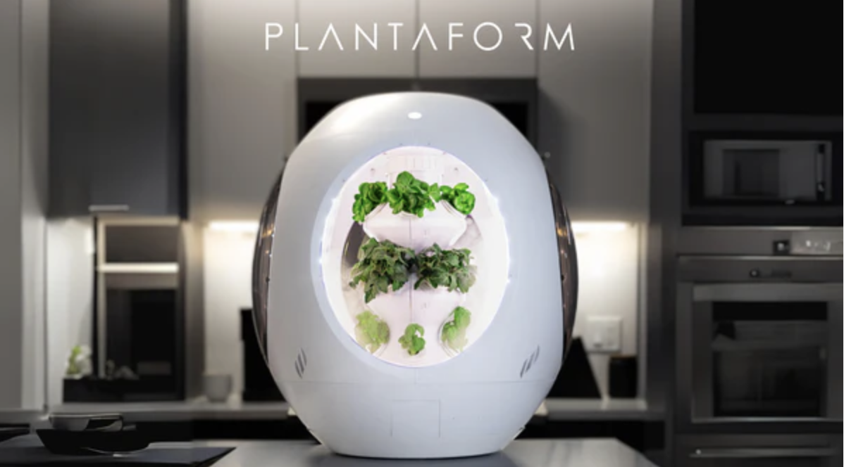 CES 2025: Plantaform Smart Indoor Gardens - Podfeet Podcasts